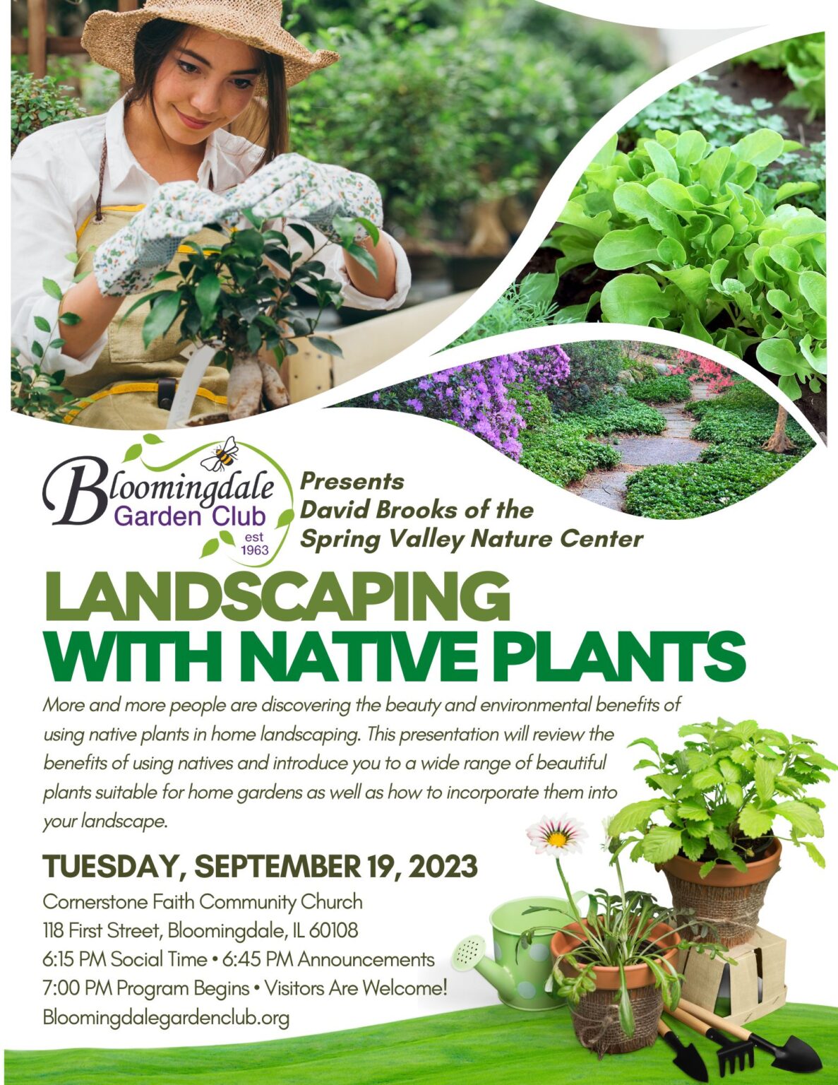 Landscaping with Native Plants – Bloomingdale Garden Club